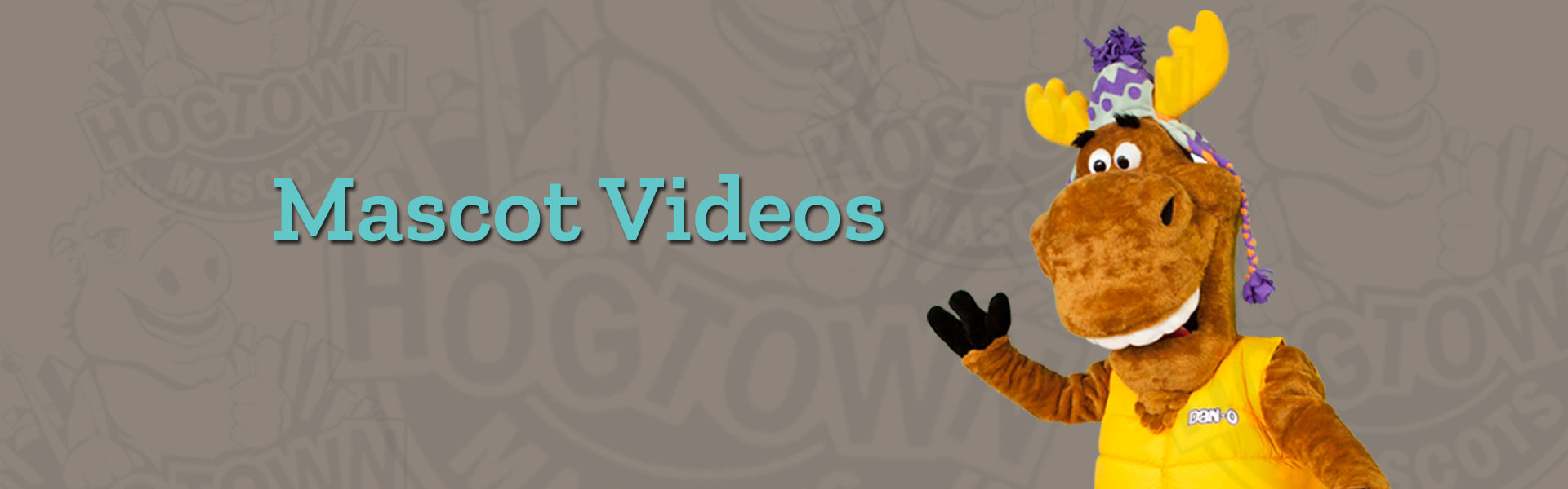 Mascot Videos - Fun and informative videos from Hogtown Mascots