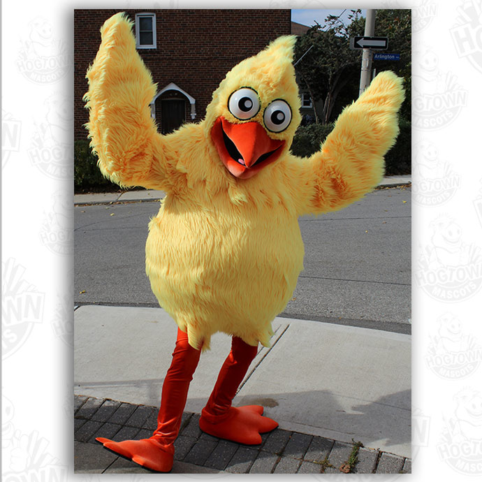 Sawyer mascot - Custom Mascot Costumes | Mascot Maker For Corporate ...