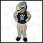 The Most Iconic High School Mascots - Custom Mascot Costumes | Mascot ...
