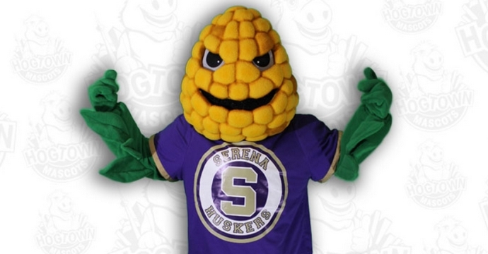 How to Make a Kid-Friendly Elementary School Mascot Design - Custom ...