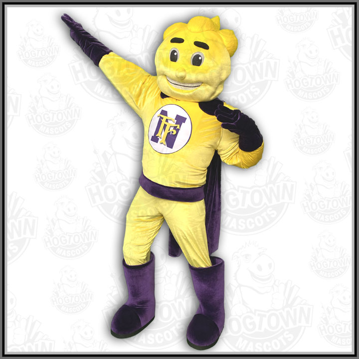 Meteor mascot - Custom Mascot Costumes | Mascot Maker For Corporate ...