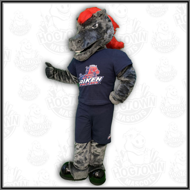 USCA Pacer mascot - Custom Mascot Costumes | Mascot Maker For Corporate ...