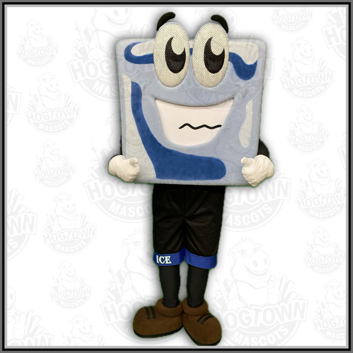 Ice mascot - Custom Mascot Costumes | Mascot Maker For Corporate ...
